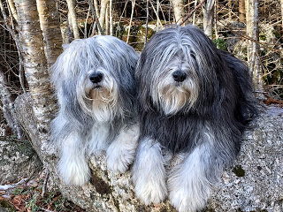 A trivia game!!!! – Viktorsviews. The Next Chapter.